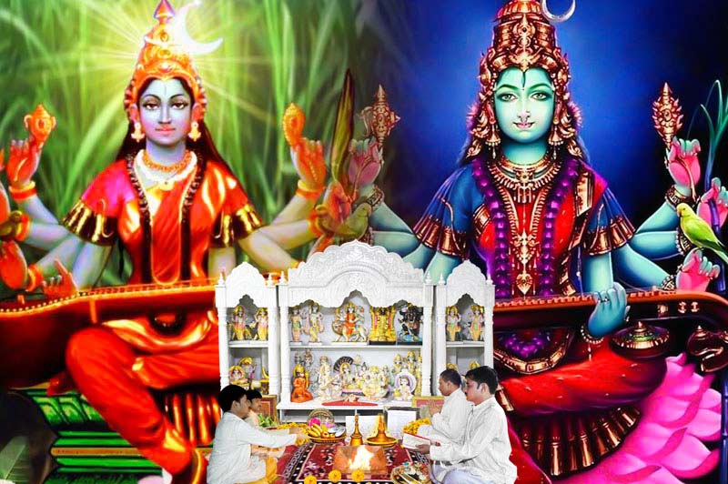 Buy Raja Shyamala Devi Puja | Shaligram Shala